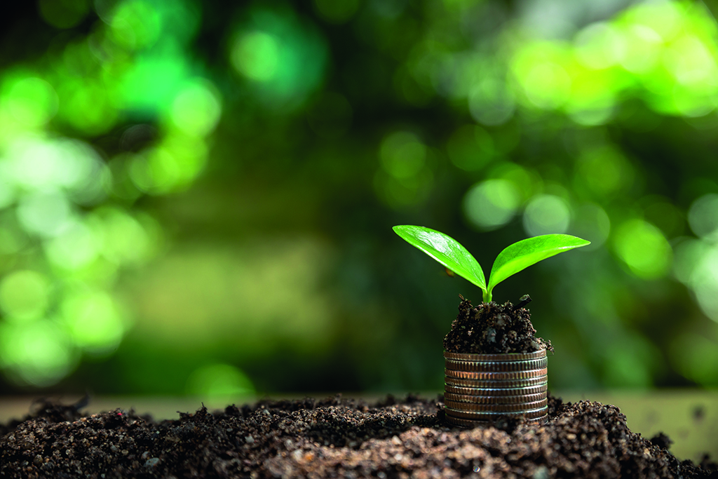Verso Group expands with WH Ireland Henley-on-Thames team | Money Marketing