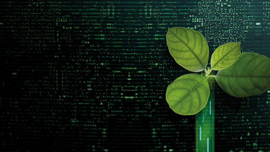 Money Marketing : UK latest financial news